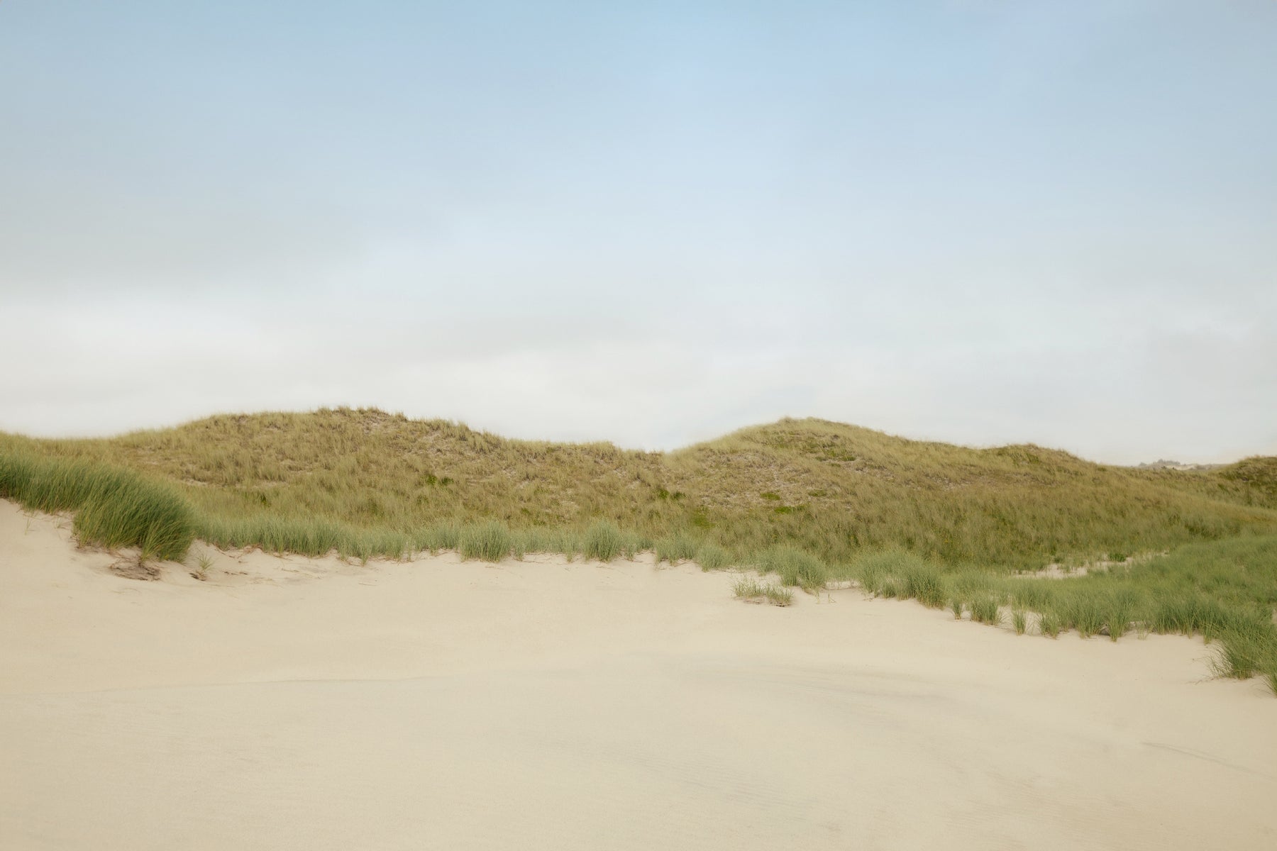 Buckets – RE:DESIGNED PROJECT